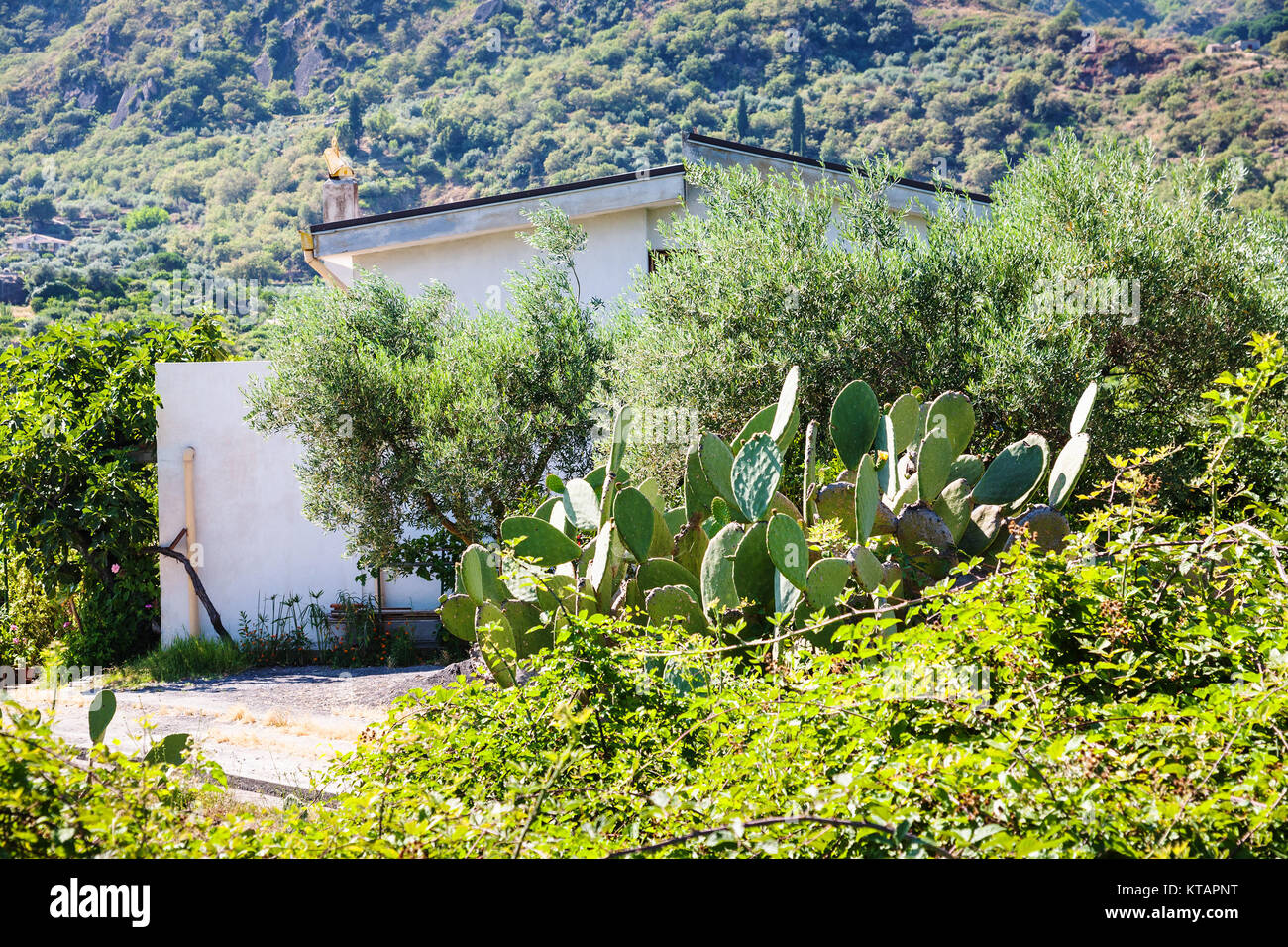 rural landscape with country house in Sicily Stock Photo - Alamy