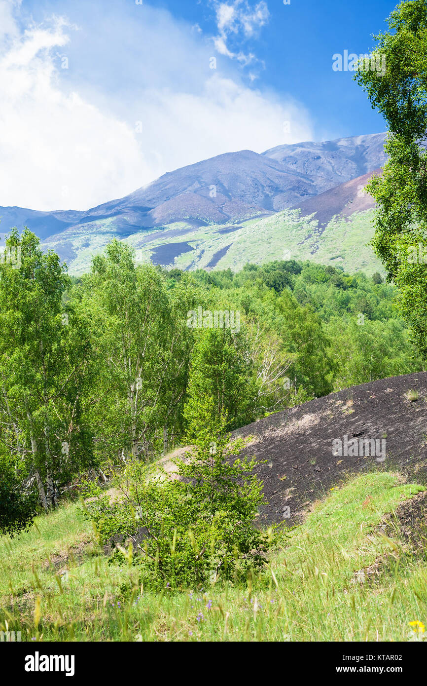 green forest on volcanic soil on slope of Etna Stock Photo - Alamy
