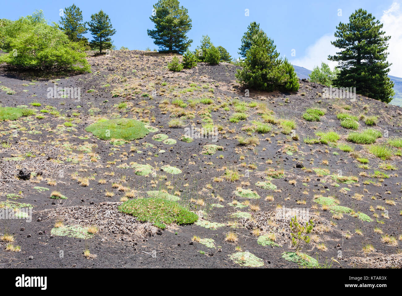 green grass on slope of old volcanic crater Stock Photo - Alamy