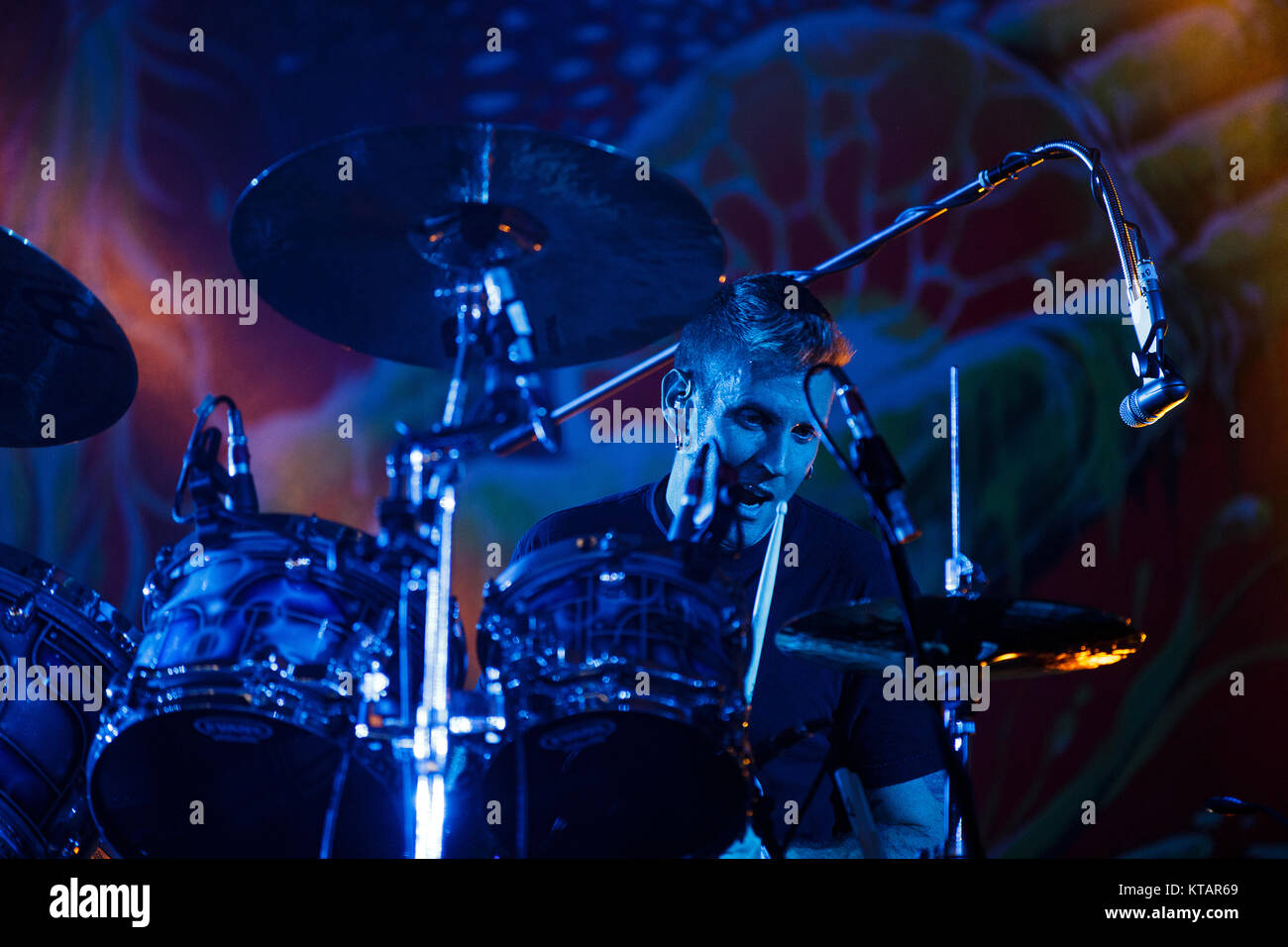 Brann timothy dailor hi-res stock photography and images - Alamy