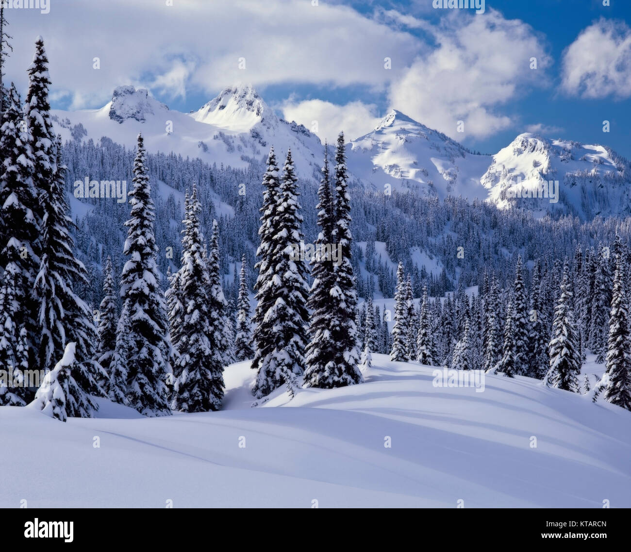 Washington's Tatoosh Range revealed during a brief winter clearing in ...