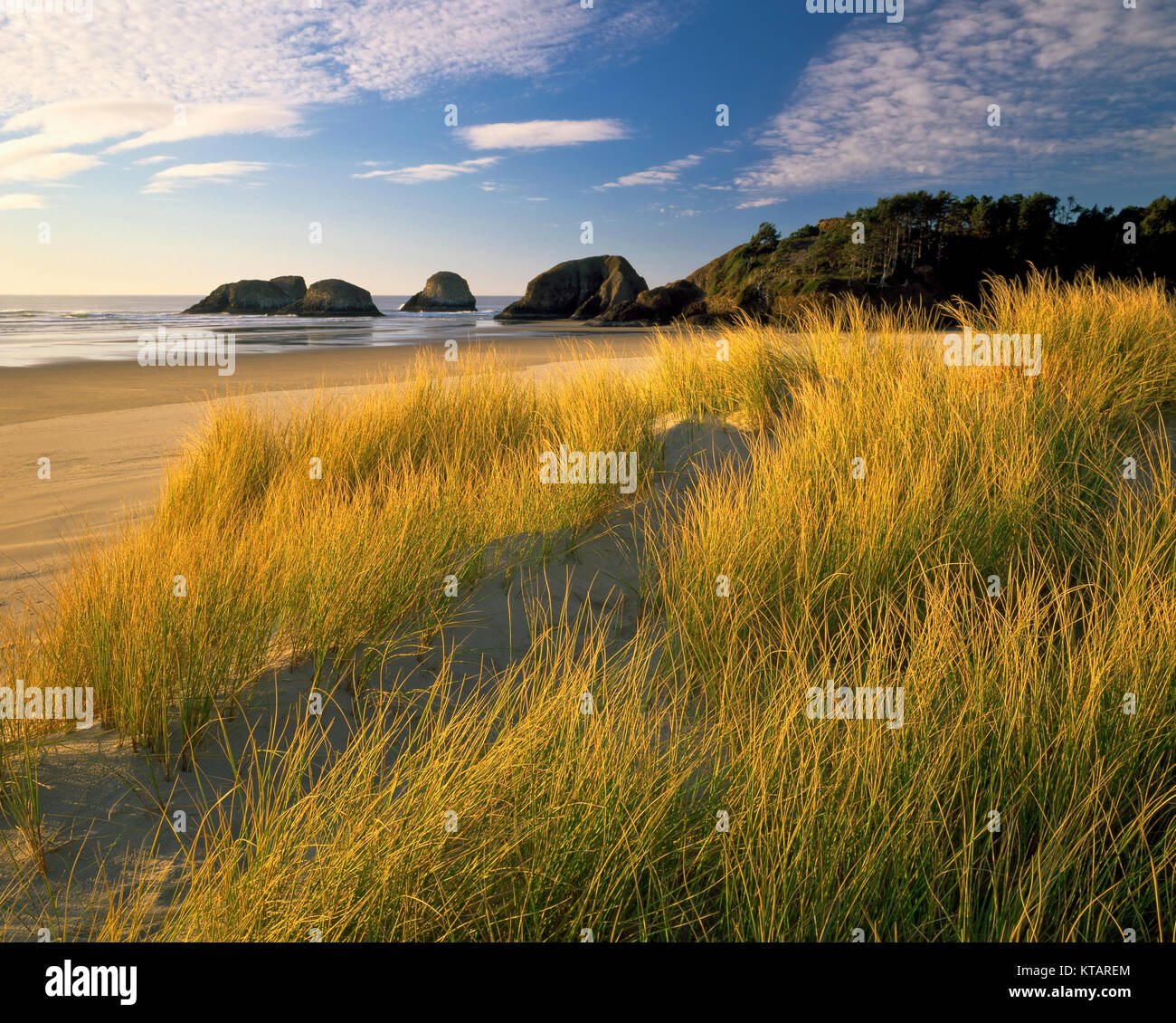 Pacific ocean haystack rock chapman point hi-res stock photography and ...