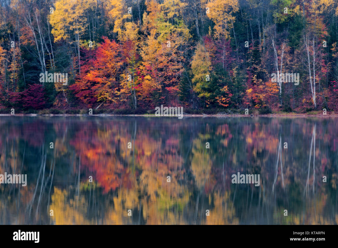 Autumn colors of the Hiawatha National Forest reflect into Michigan's ...