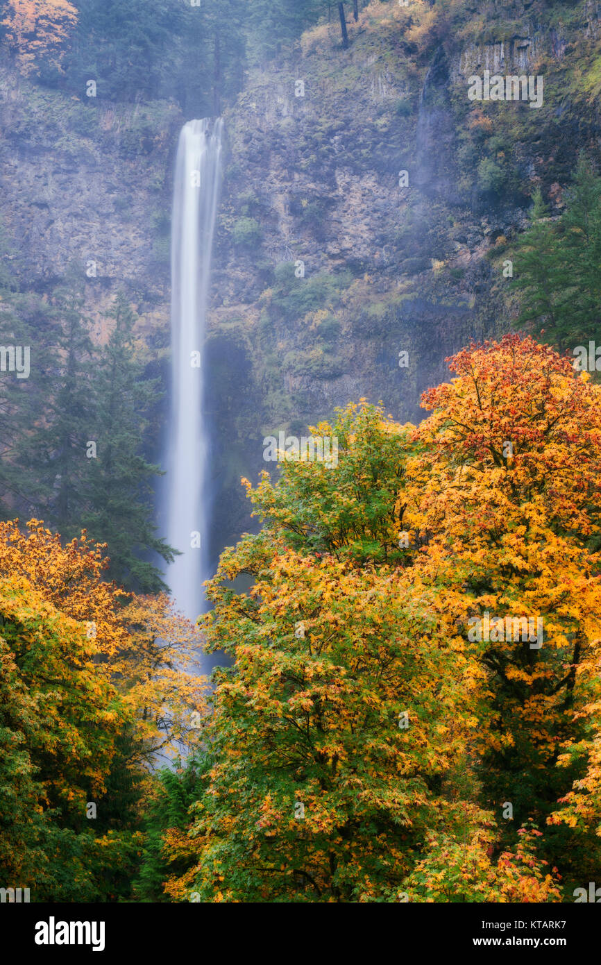 Multnomah county oregon waterfalls autumn waterfall waterfalls trees ...
