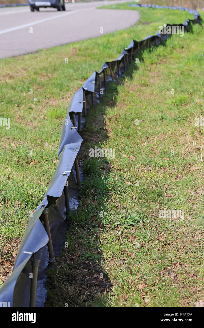 protective fence for toad migration Stock Photo - Alamy