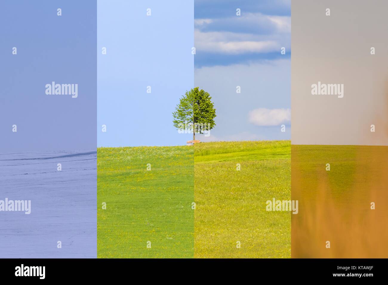 climate change winter spring summer fall time over the year Stock Photo ...