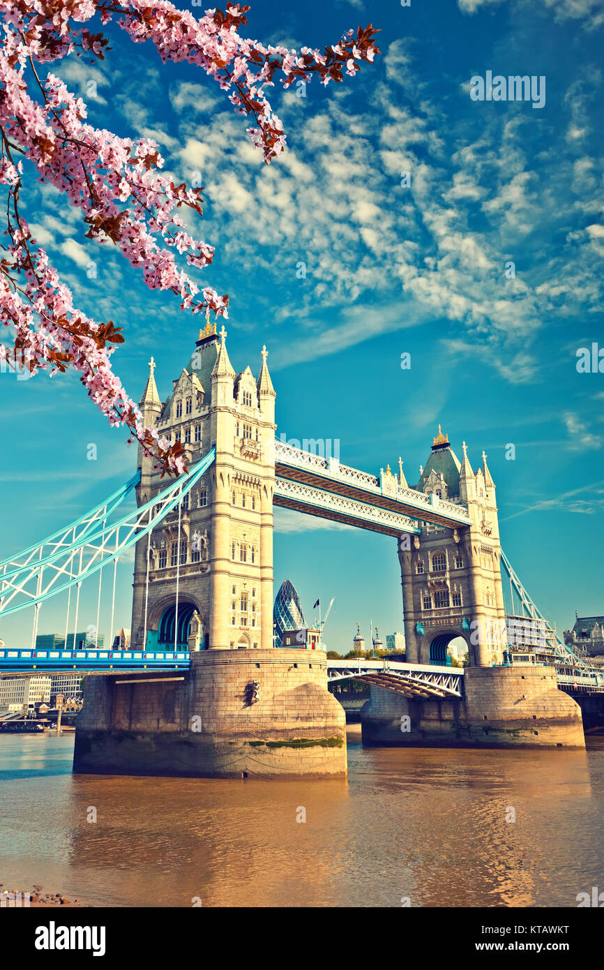 Tower bridge in London at spring Stock Photo - Alamy