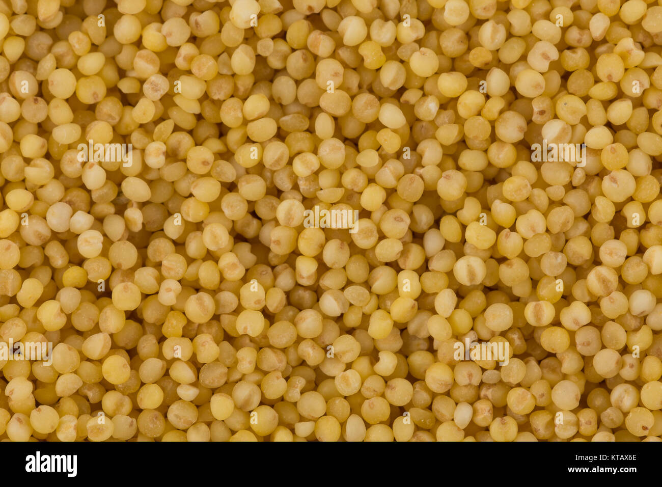 Dry millet closeup Stock Photo - Alamy