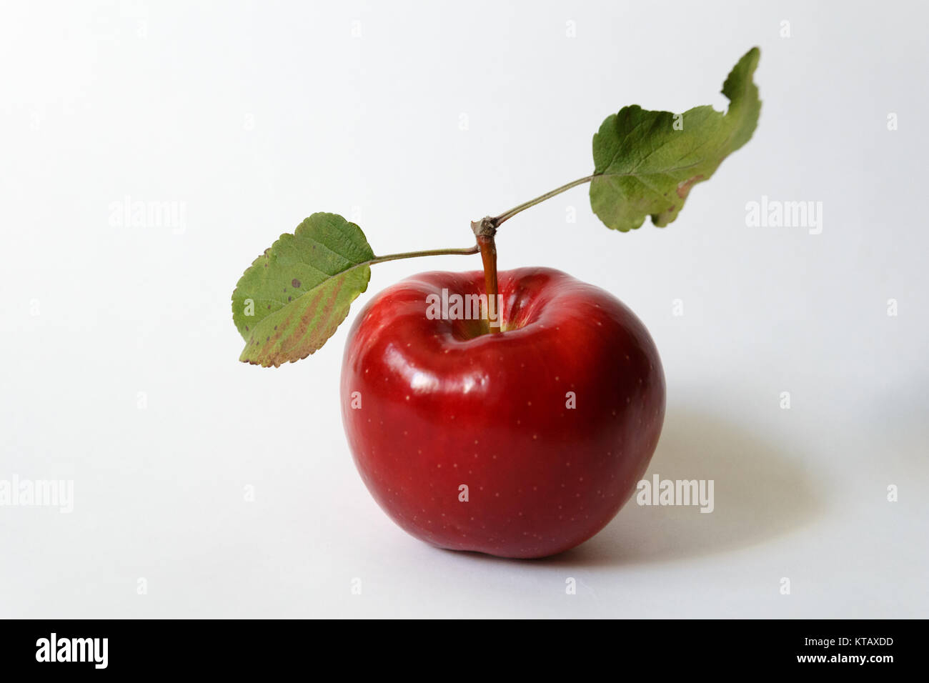 One red apple with two leaves on white background Stock Photo - Alamy