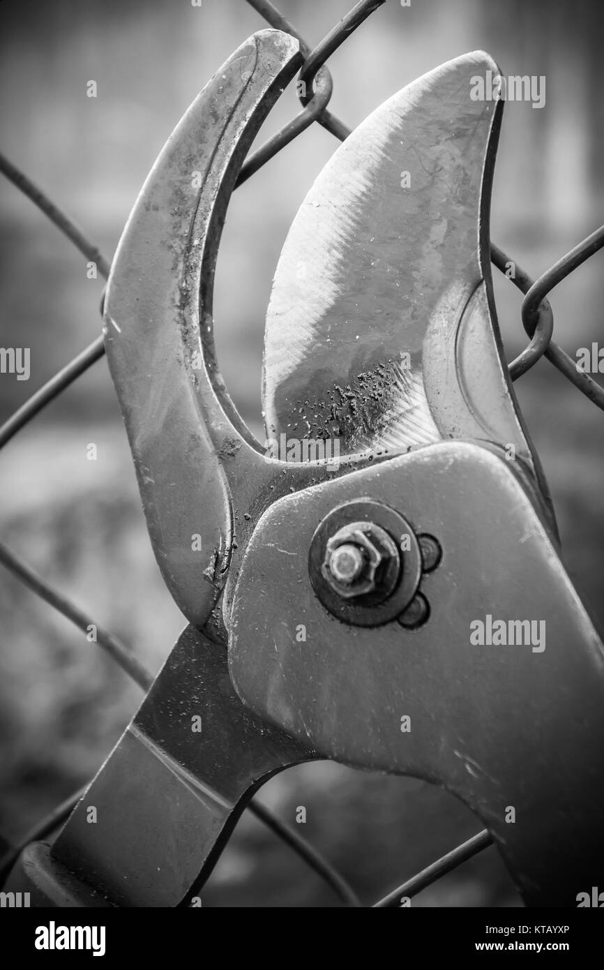 Wire clipper on fence Stock Photo - Alamy