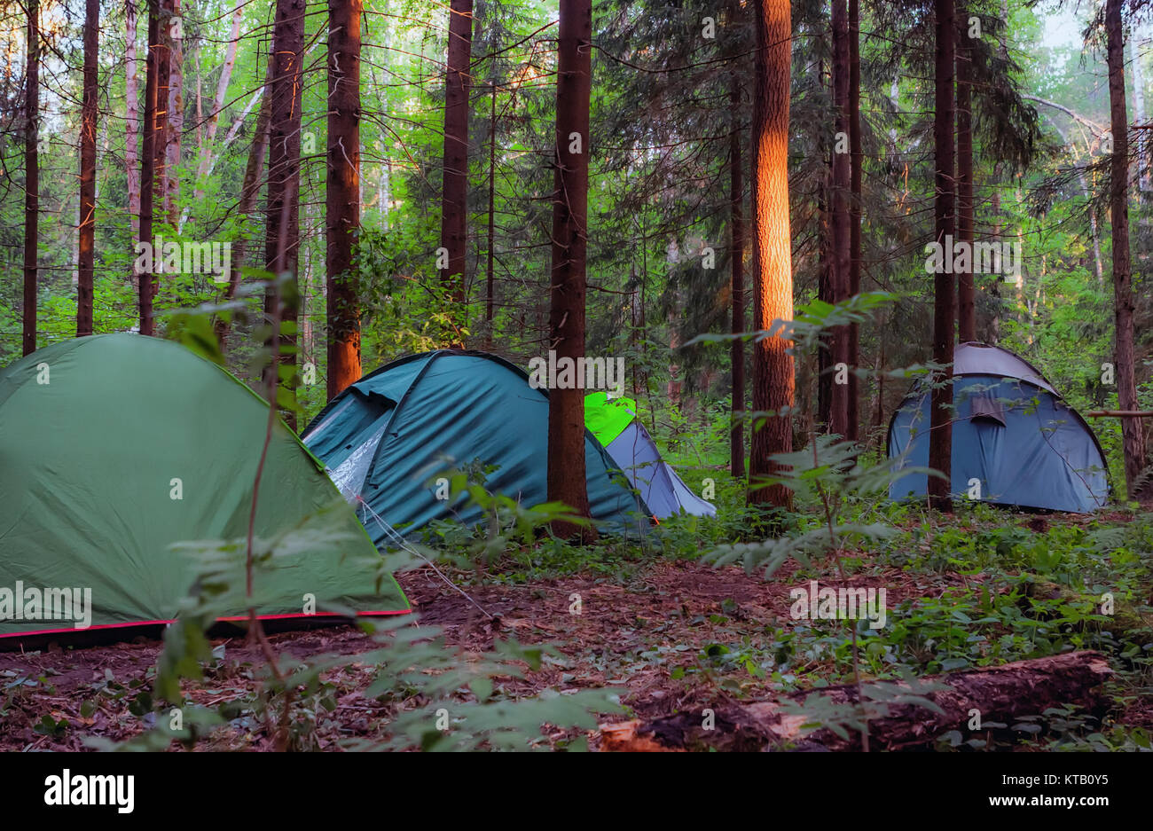 Camping In The Forest Stock Photo - Alamy