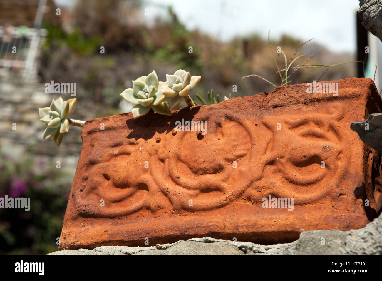 old ceramic pot Stock Photo - Alamy