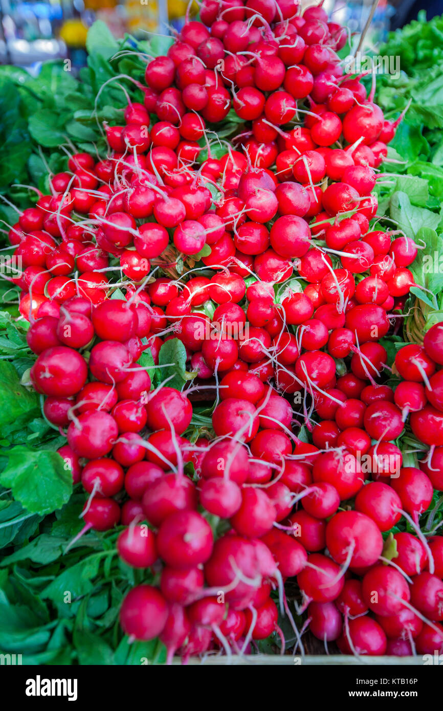 Fresh Red Radish Stock Photo - Alamy