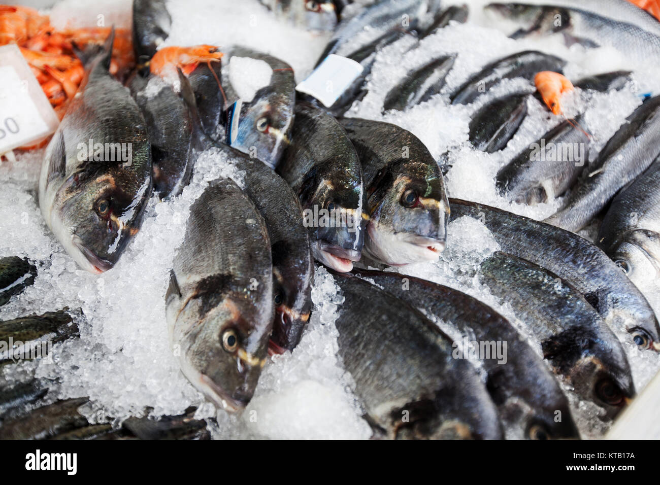 Fresh Sea fish bream Stock Photo - Alamy