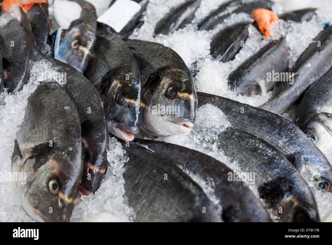 Fresh Sea fish bream Stock Photo - Alamy