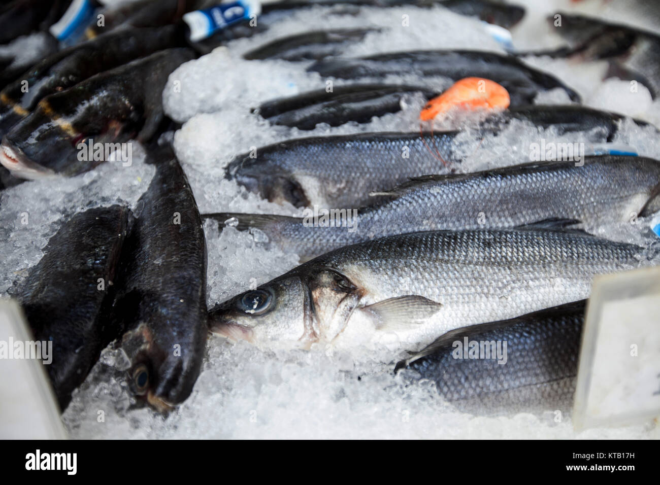 Fresh Sea fish bream Stock Photo - Alamy