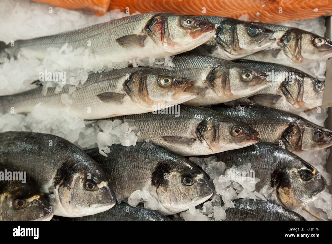 Fresh Sea fish Stock Photo - Alamy