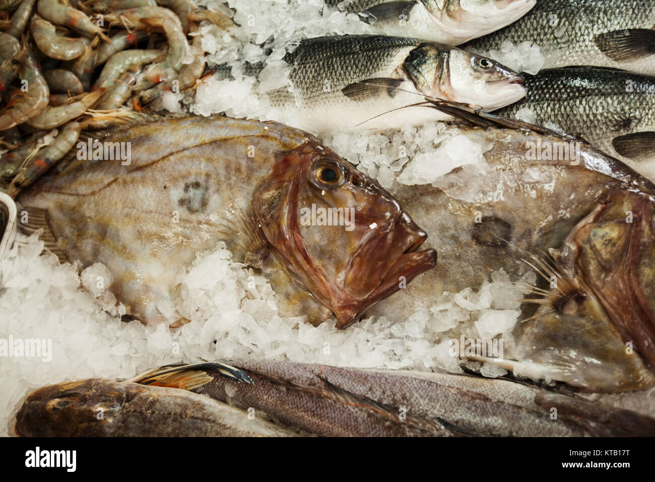 Fresh Sea fish John Dory, St Pierre Stock Photo - Alamy