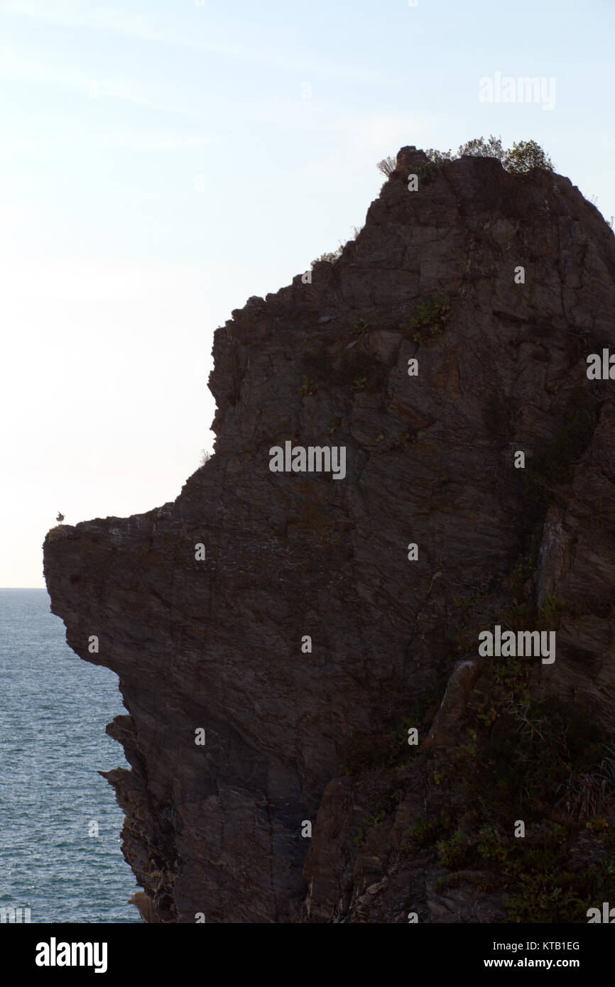 A rock in the shape of the head Stock Photo - Alamy