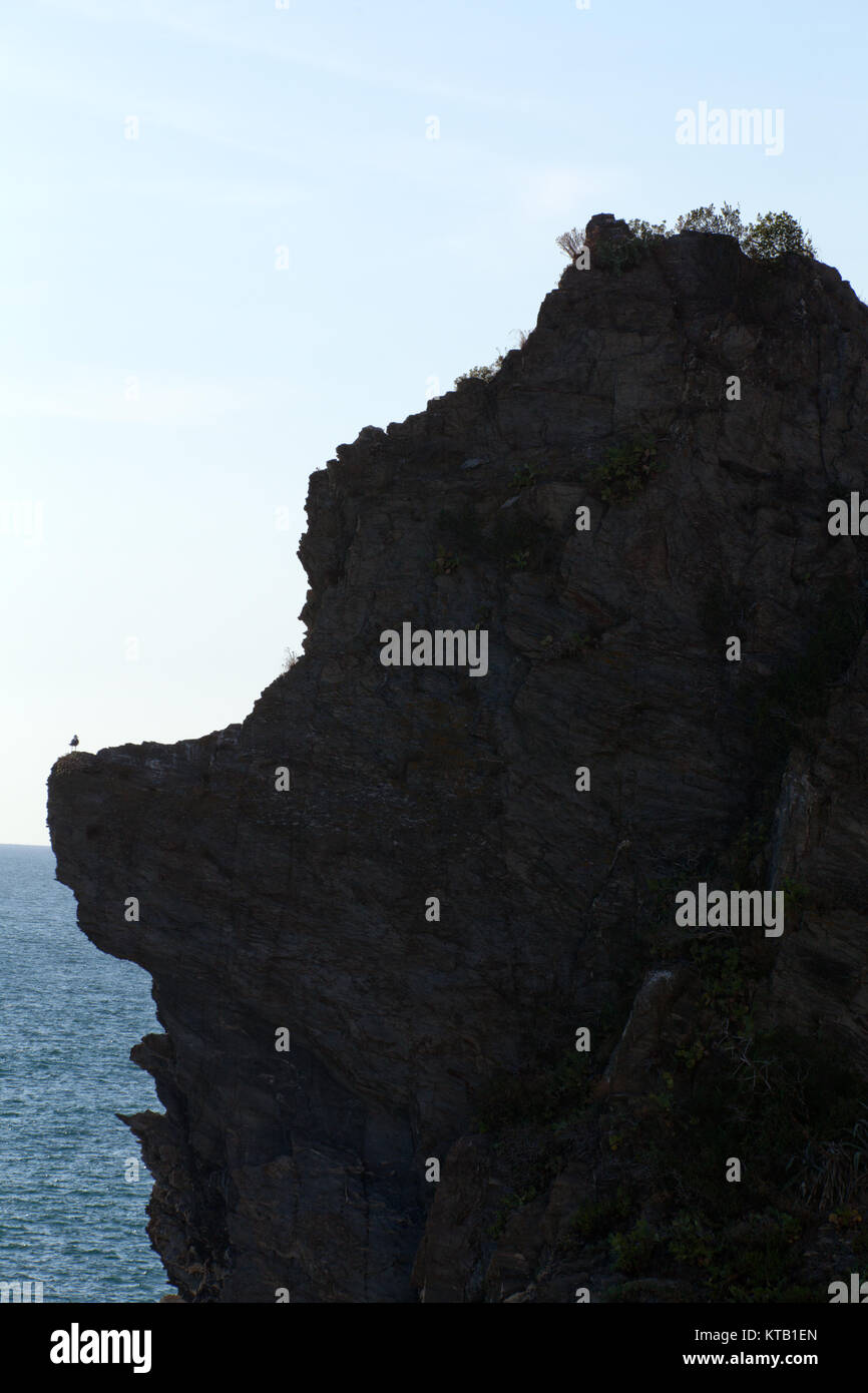 A rock in the shape of the head Stock Photo - Alamy
