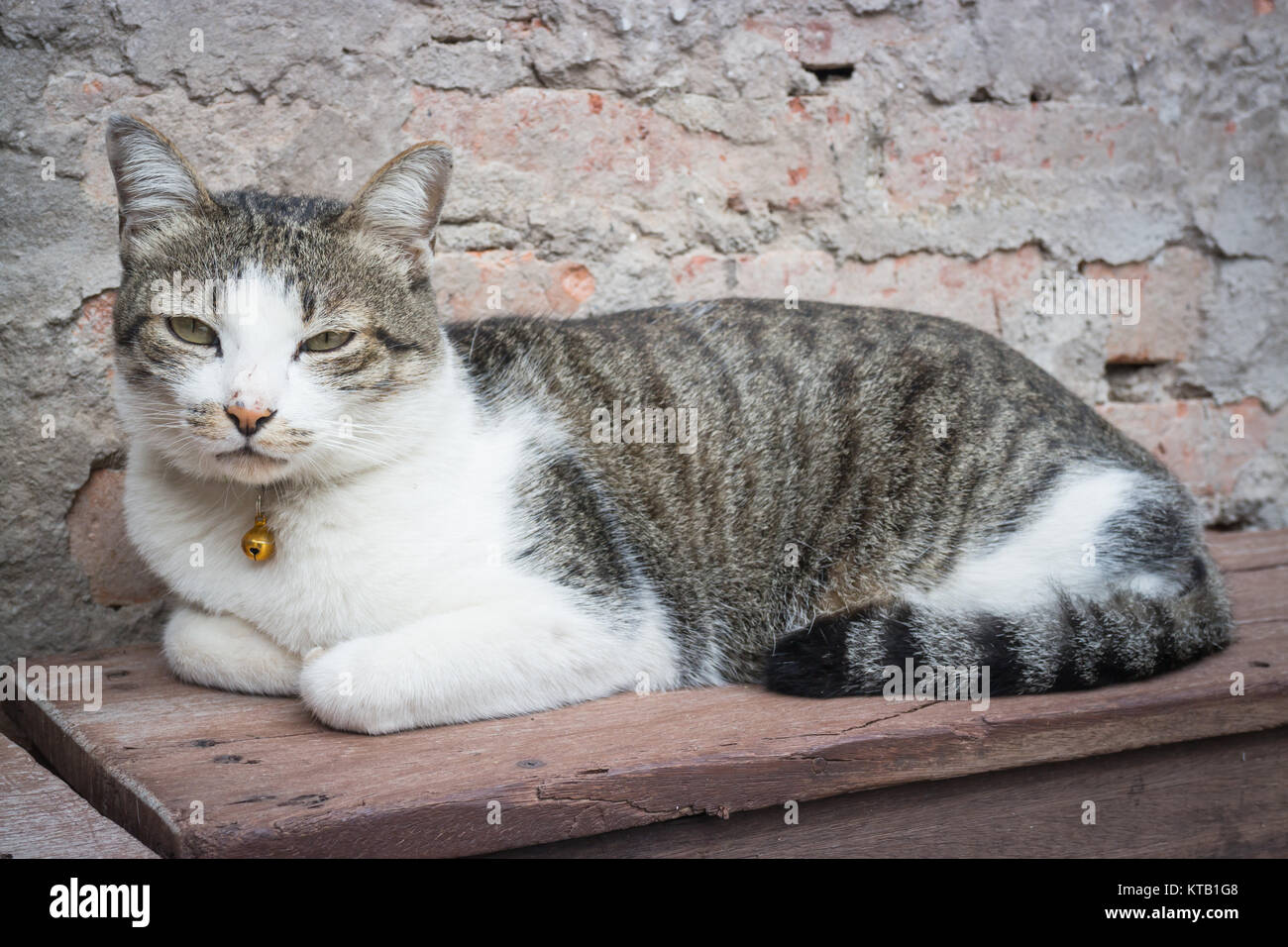 Wall fell down hi-res stock photography and images - Alamy