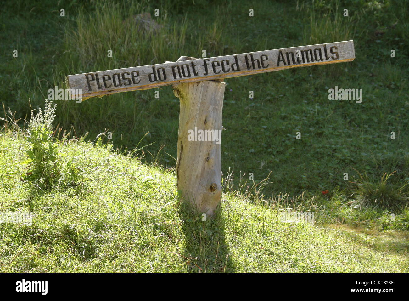Please feed animals hi-res stock photography and images - Alamy