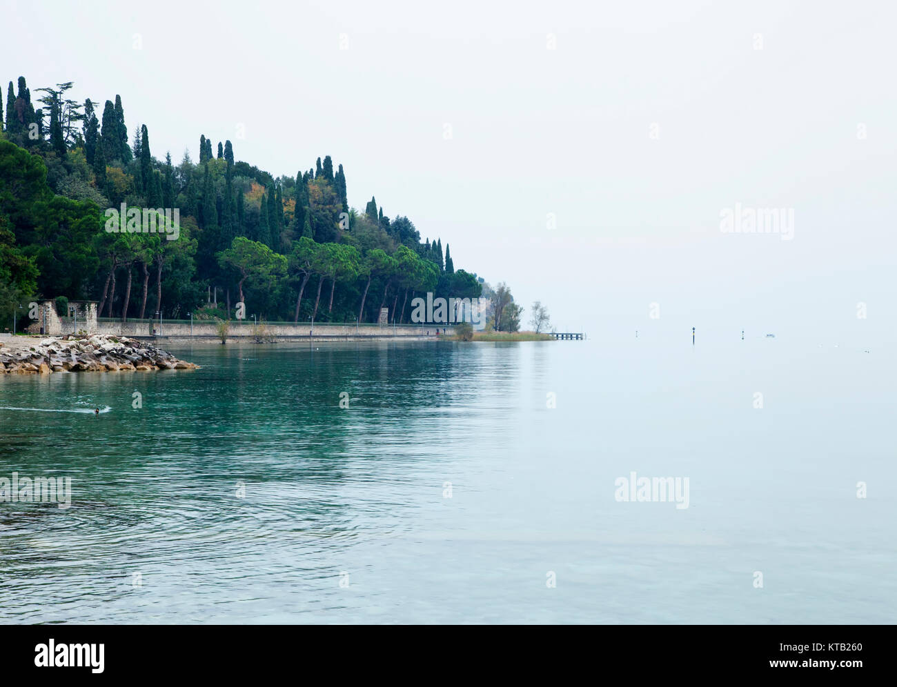 Lake view with trees Stock Photo - Alamy