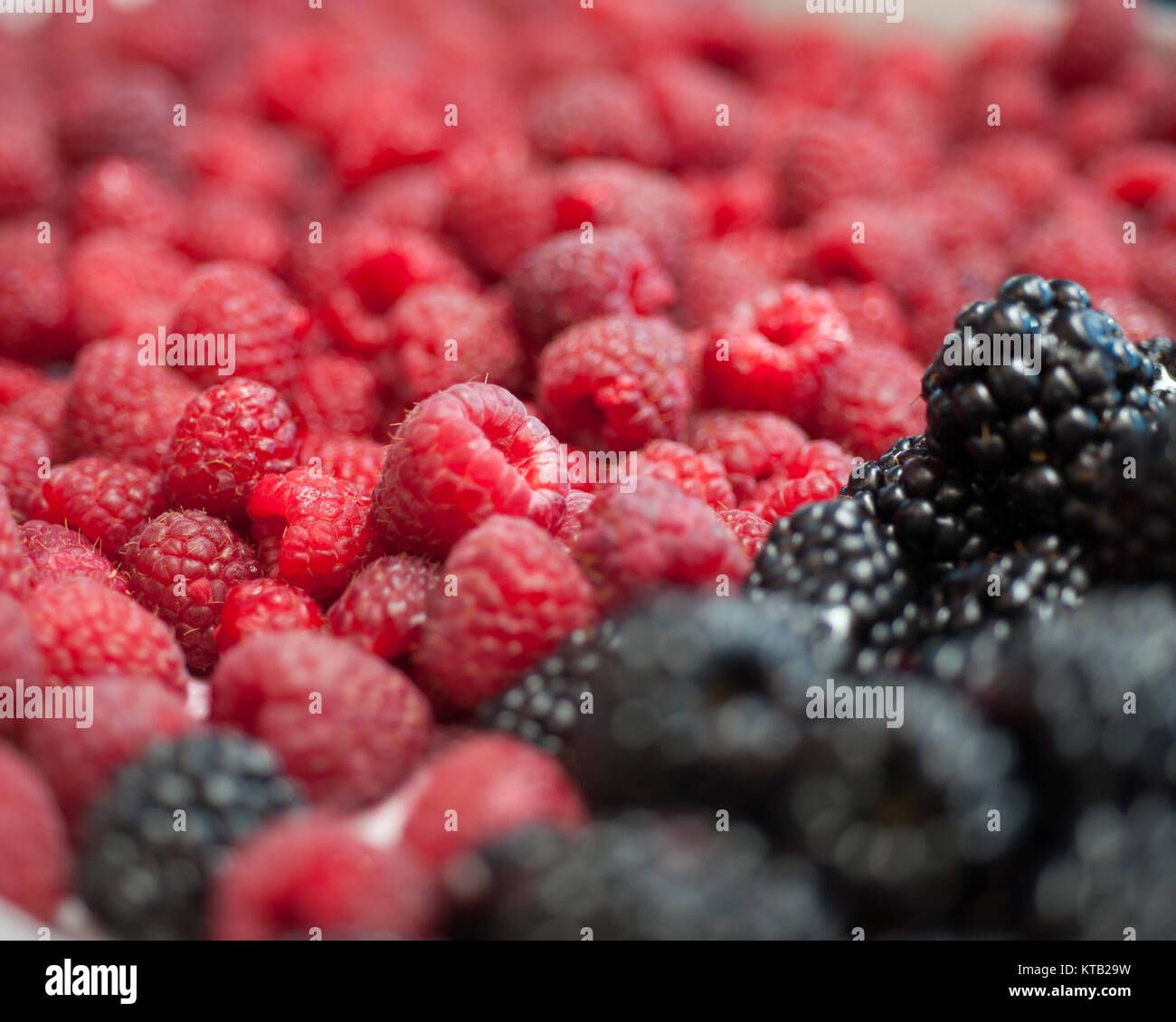 Raspberries and blackberries Stock Photo - Alamy