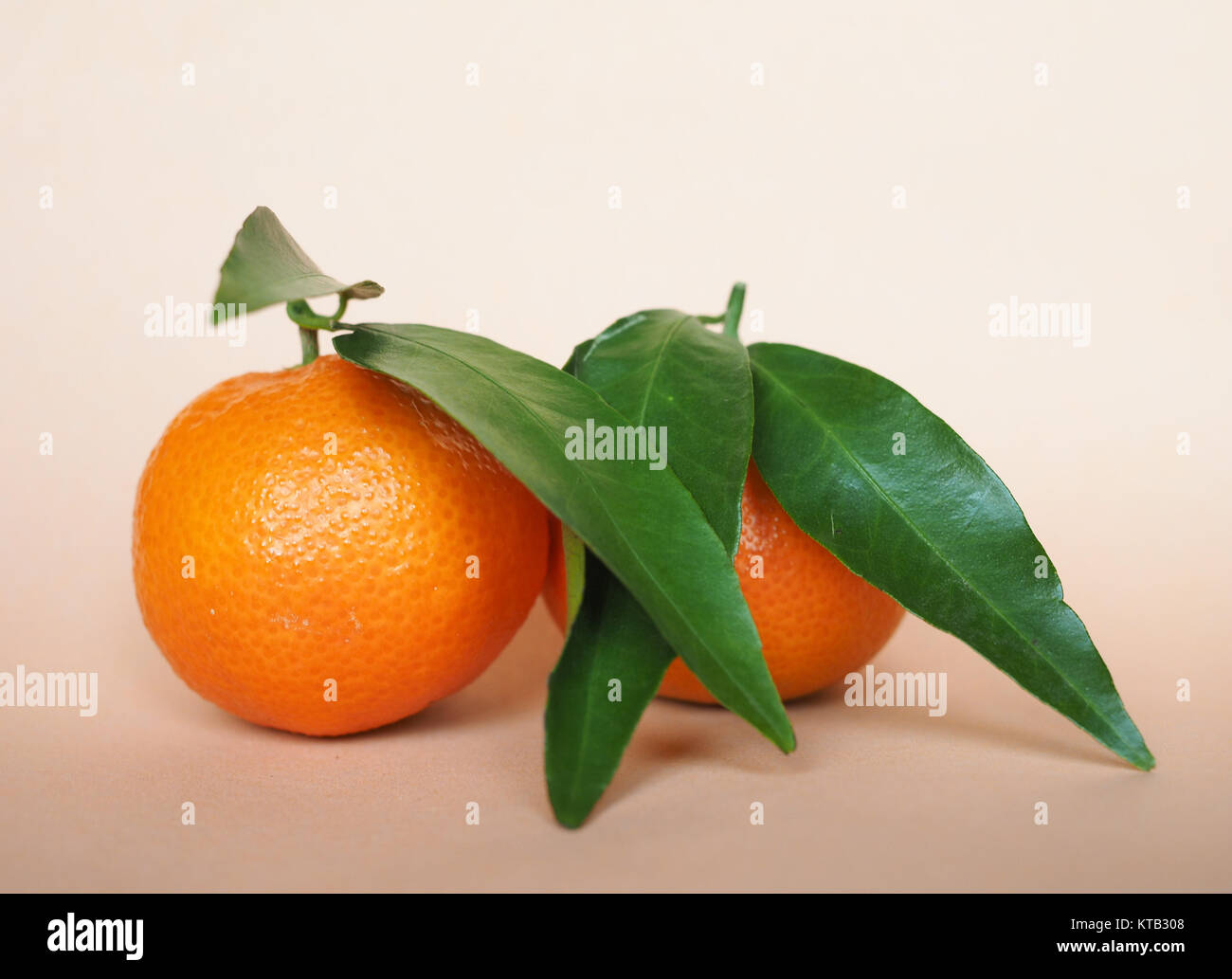 Orange tangerine mandarin citrus tangerina hi-res stock photography and ...
