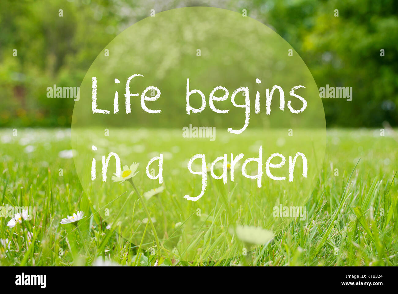 Summer Garden Quotes