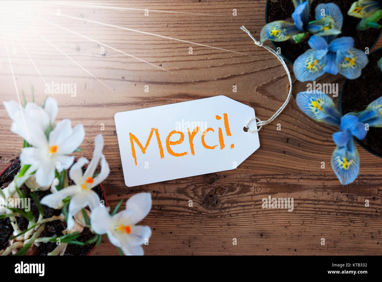 Sunny Label With French Text Merci Means Thank You. Spring Flowers Like ...