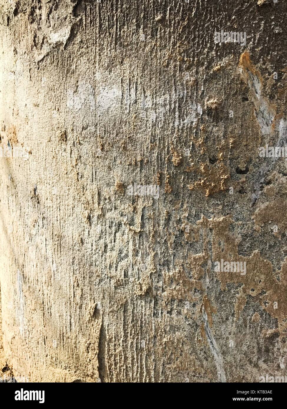 Texture of cement wall Stock Photo - Alamy