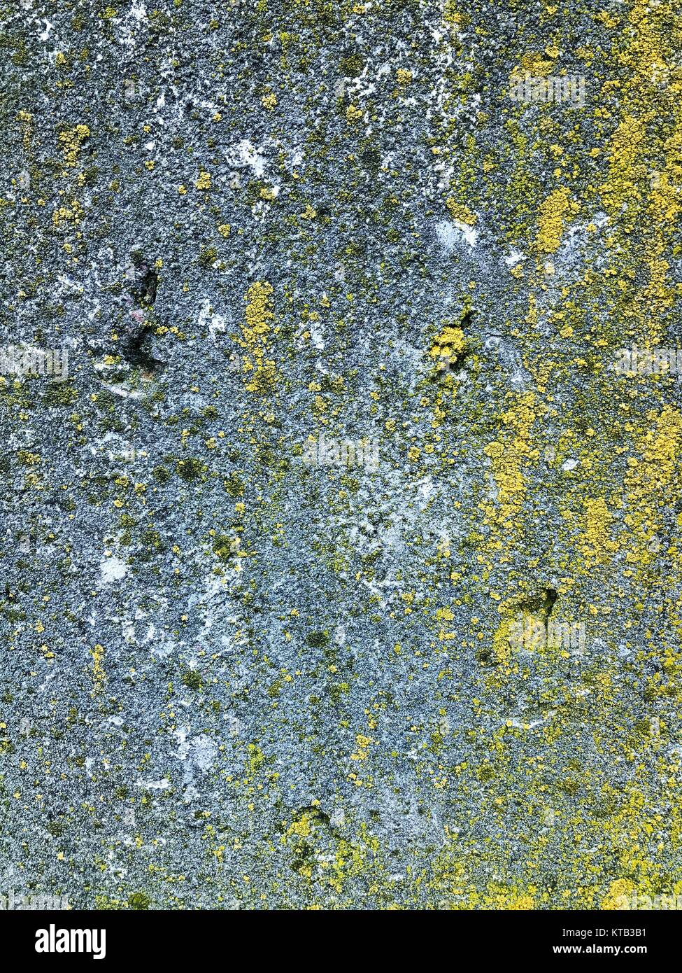 Texture of cement wall Stock Photo - Alamy