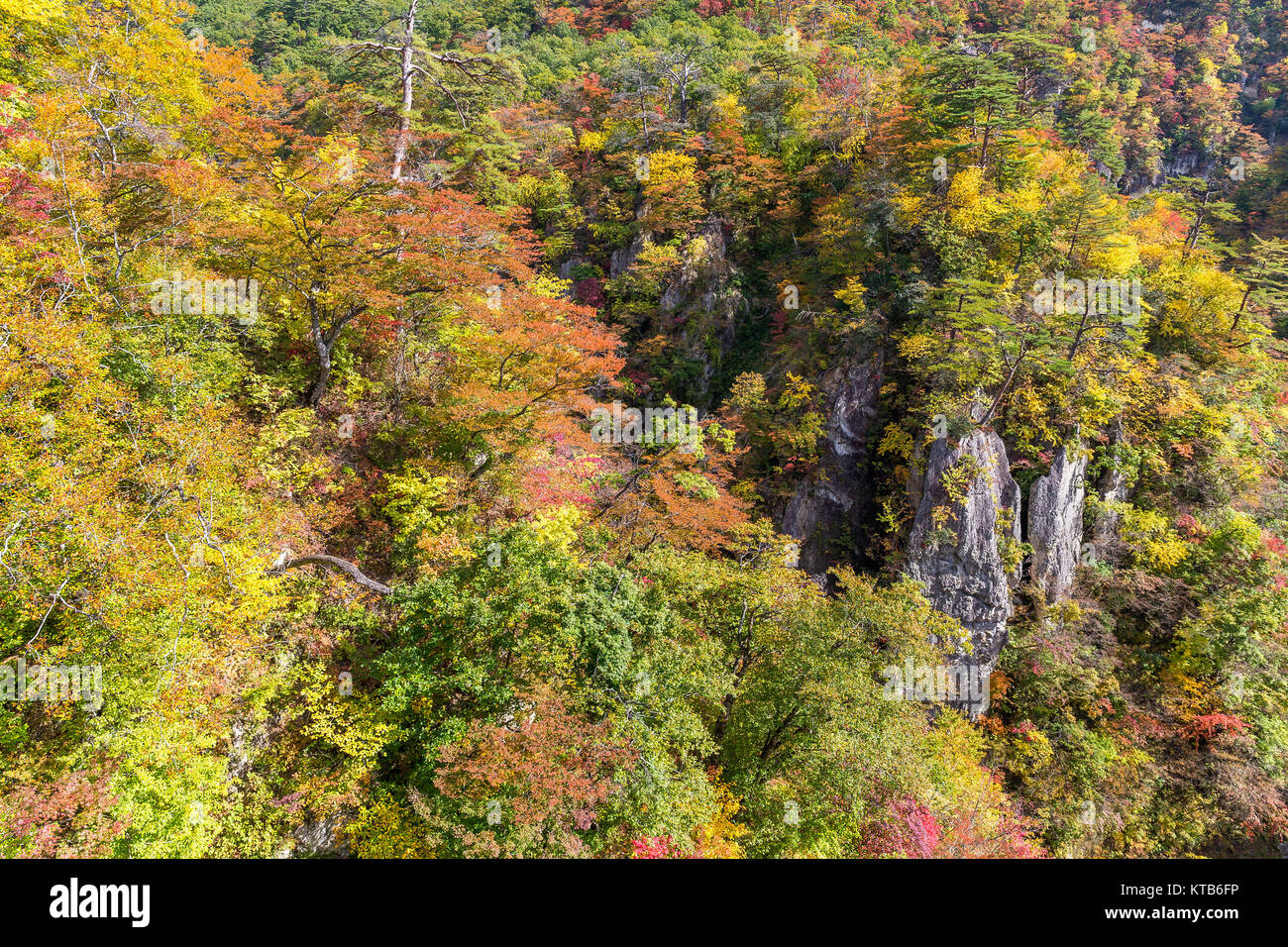 Naruko canyon of japan Stock Photo - Alamy