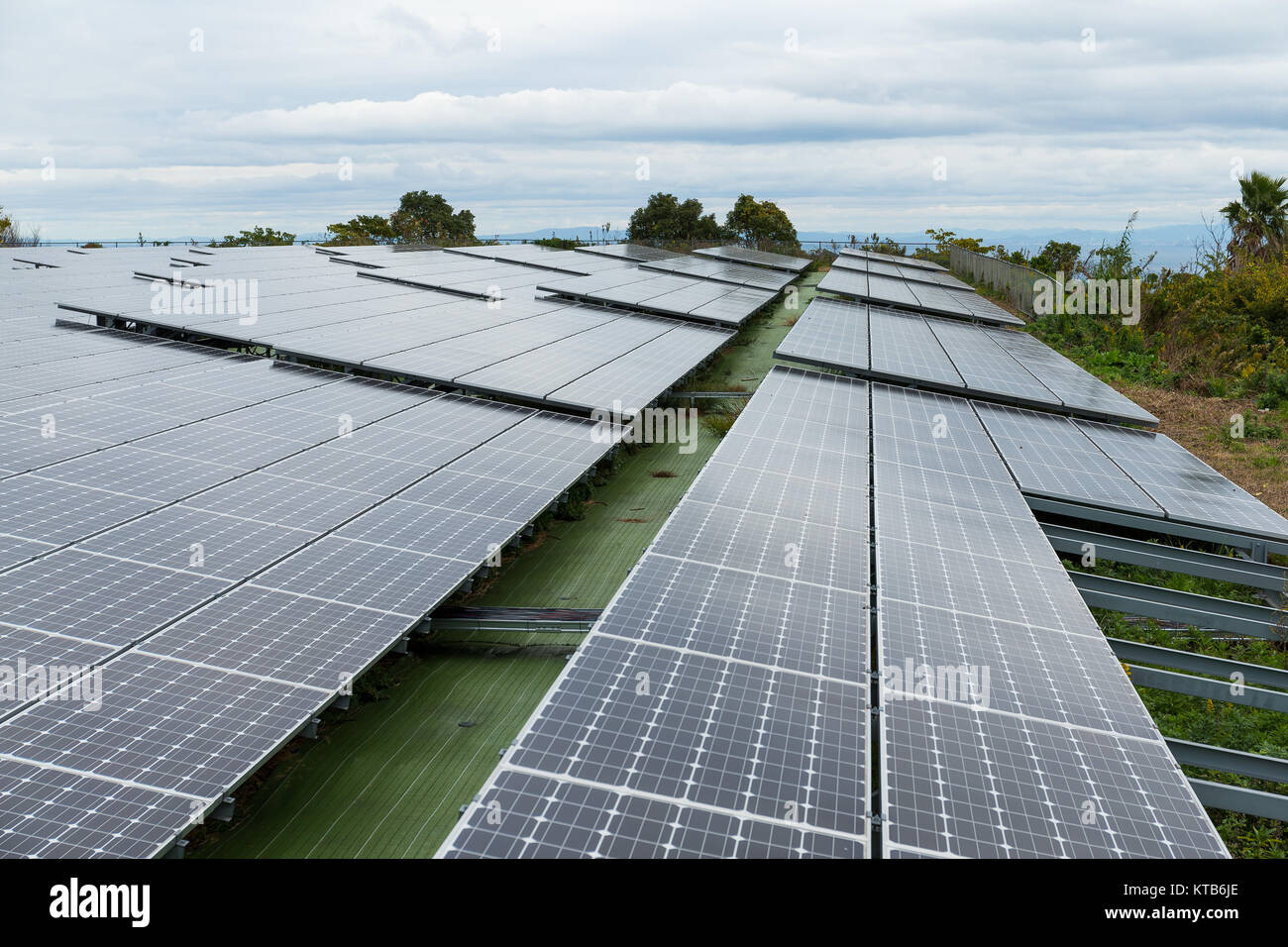 Solar panel plant Stock Photo - Alamy
