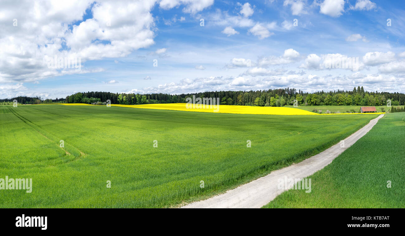 view over a field with path in spring Stock Photo - Alamy