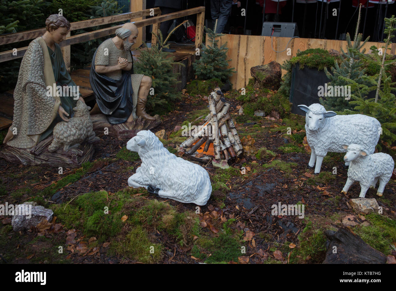Shepherd and sheep figurines are part of the nativity scene. The 24th ...