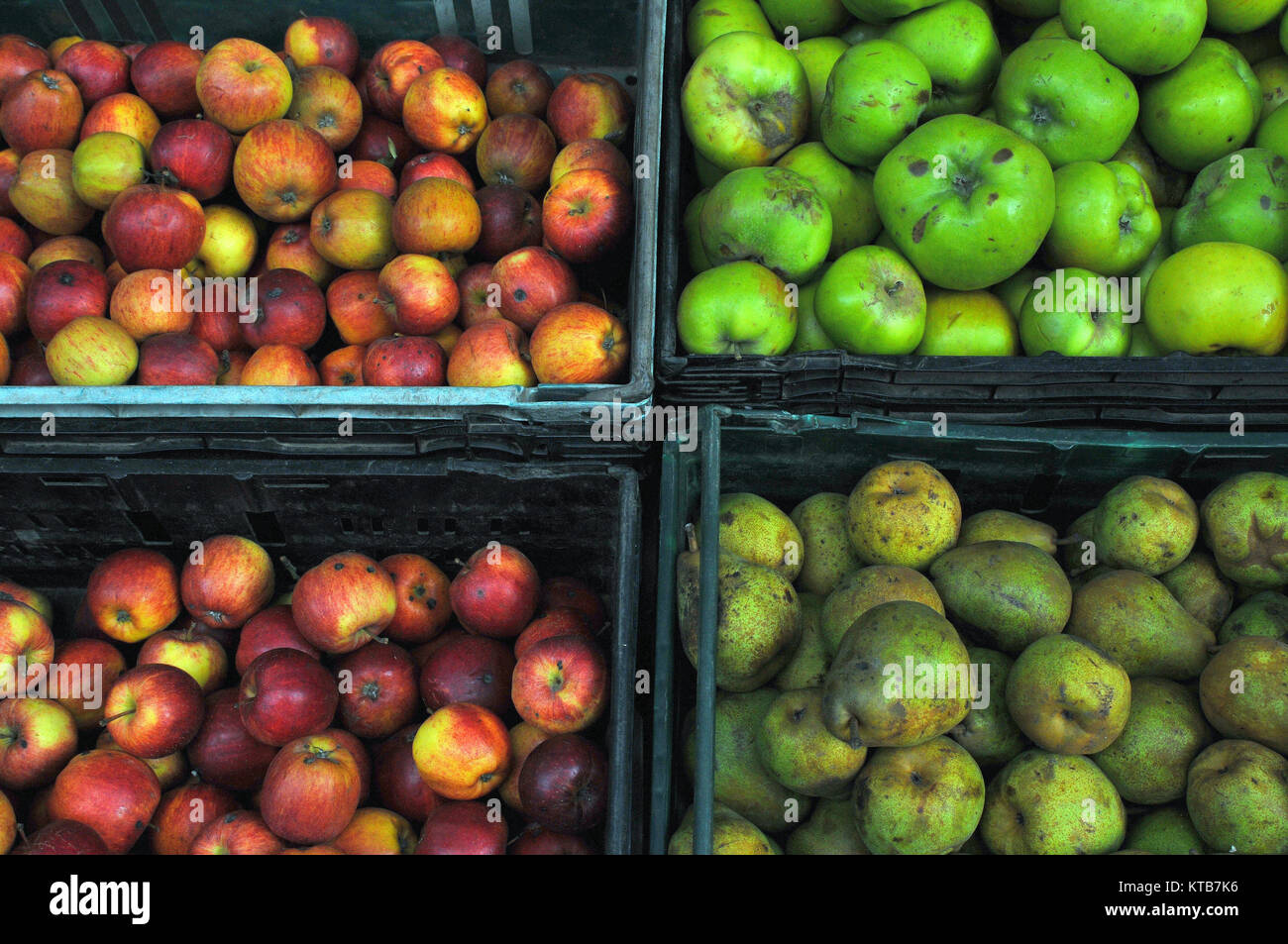 fresh apples in a variety of different colours and types in crates or ...