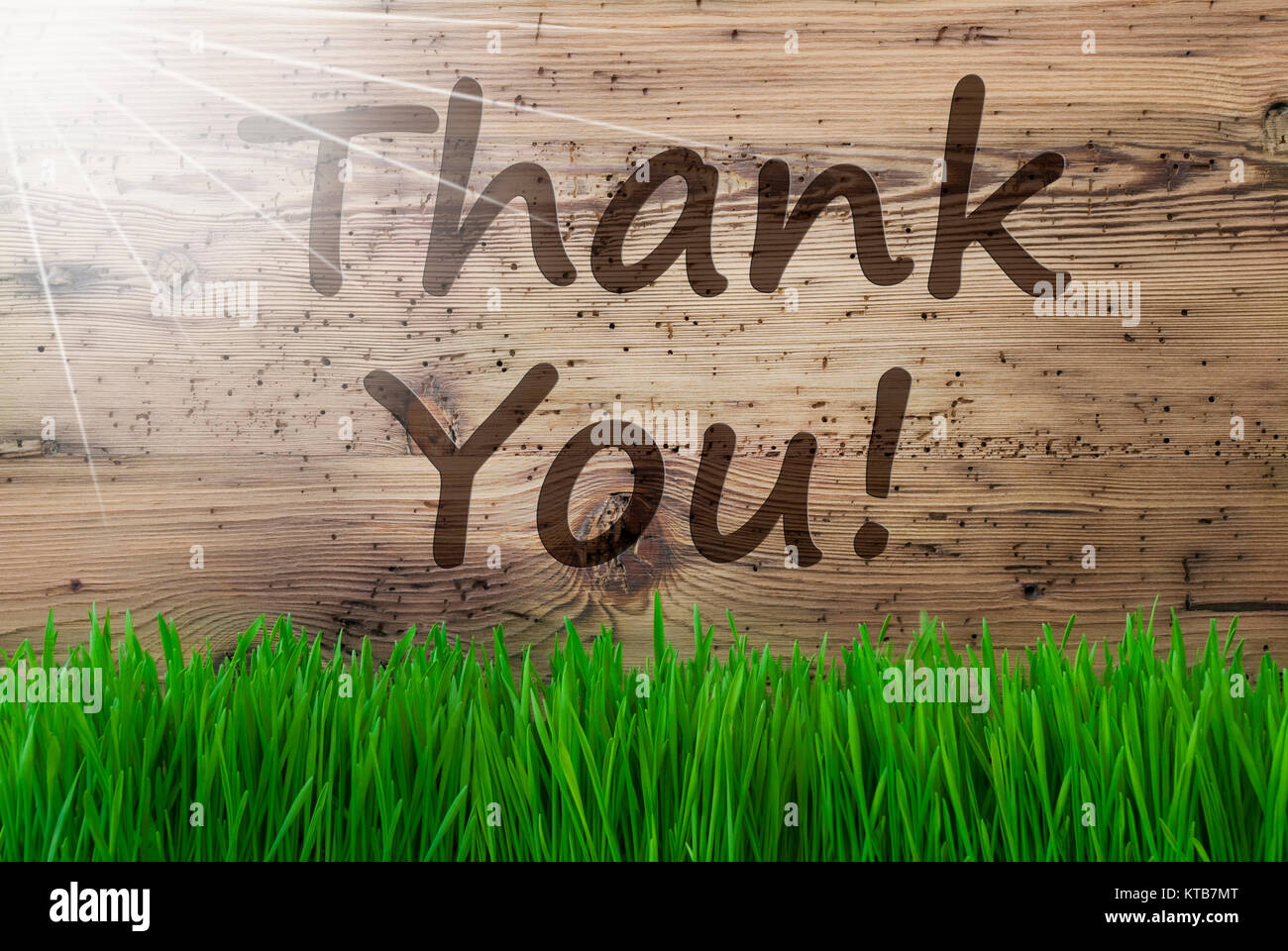 English Text Thank You. Spring Season Greeting Card. Sunny Aged Wooden ...