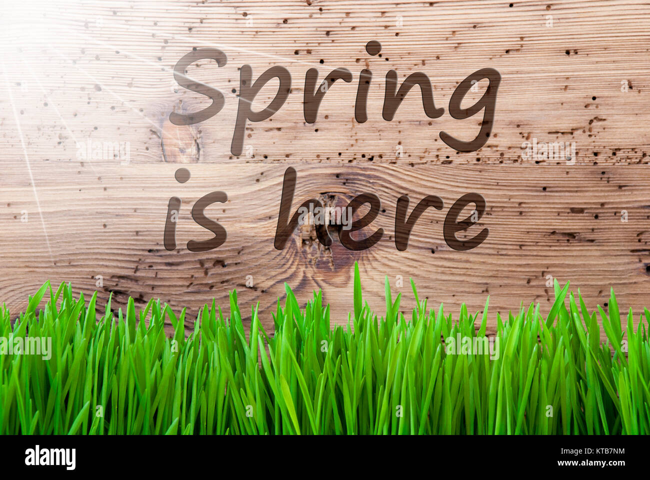 English Text Spring Is Here. Spring Season Greeting Card. Bright, Sunny ...