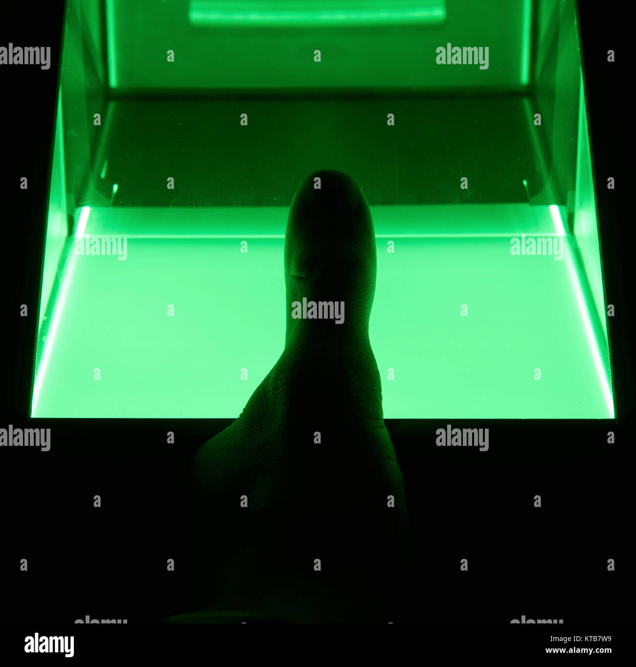 green cybersecurity digital fingerprint scanning on a green screen ...