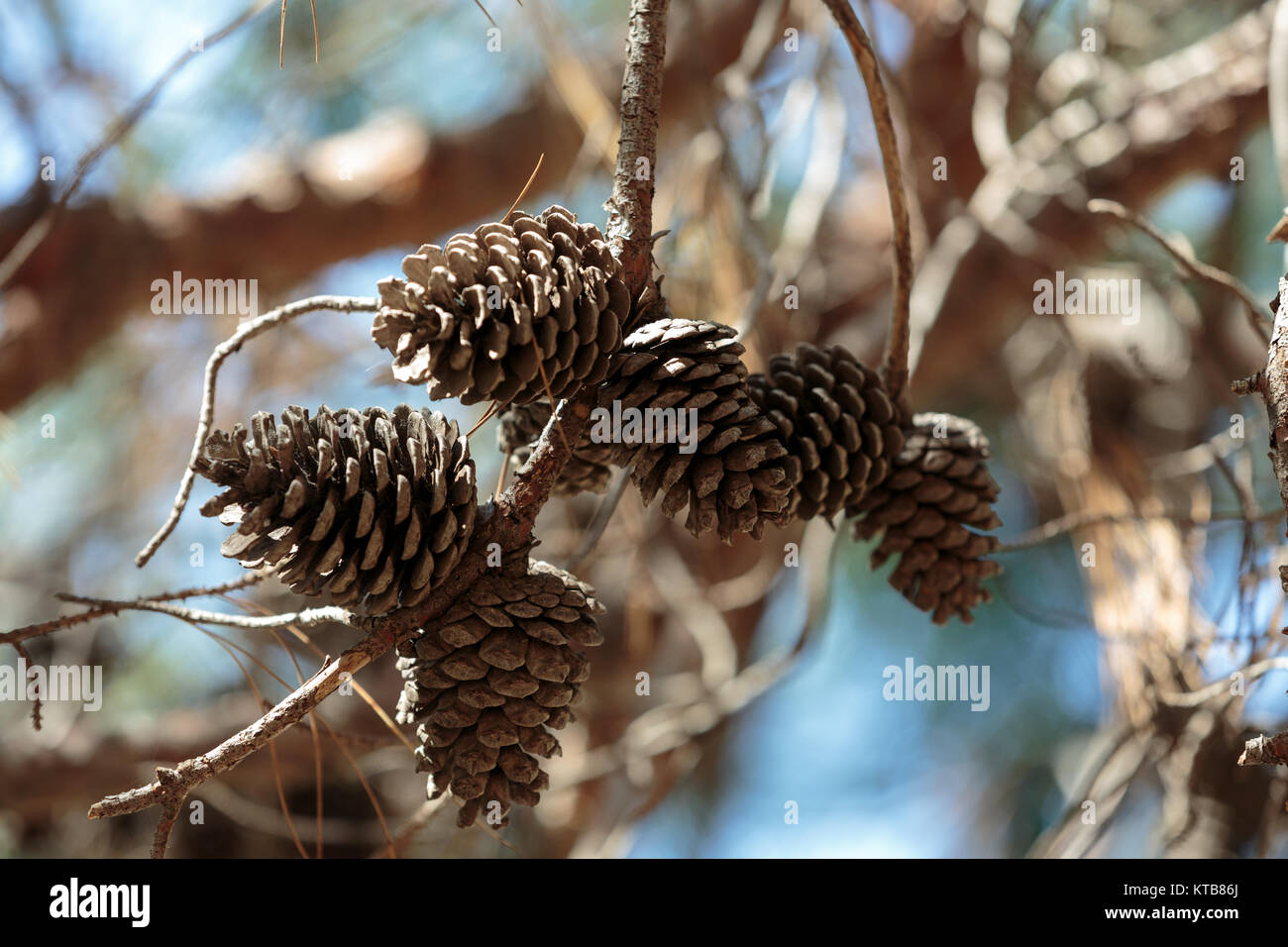 Symmetry texture town hi-res stock photography and images - Alamy