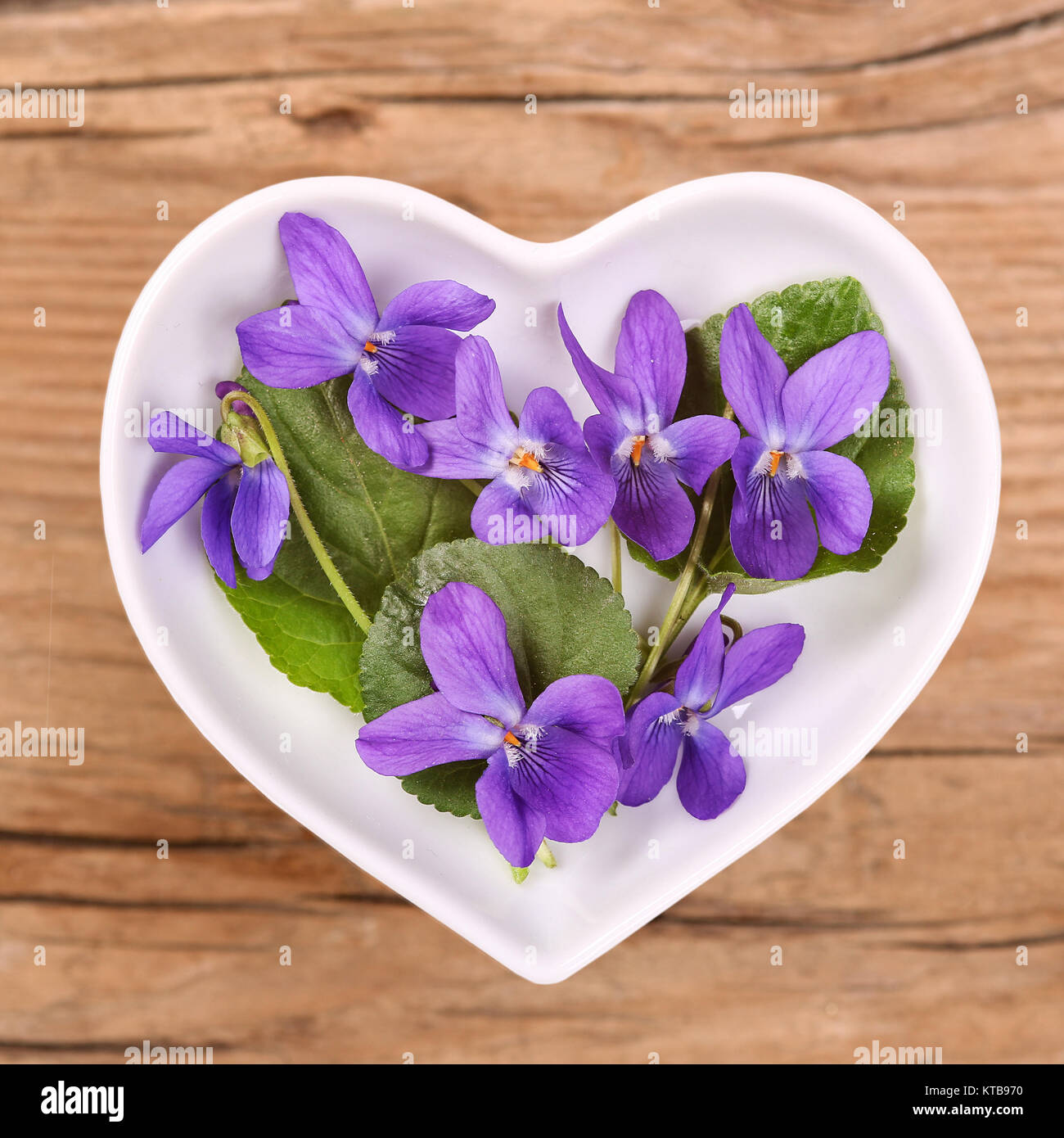 violets,homeopathy and cooking with medicinal herbs Stock Photo - Alamy