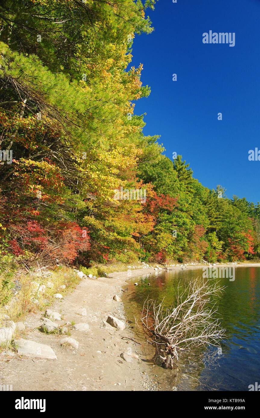 Walden lake park hi-res stock photography and images - Alamy