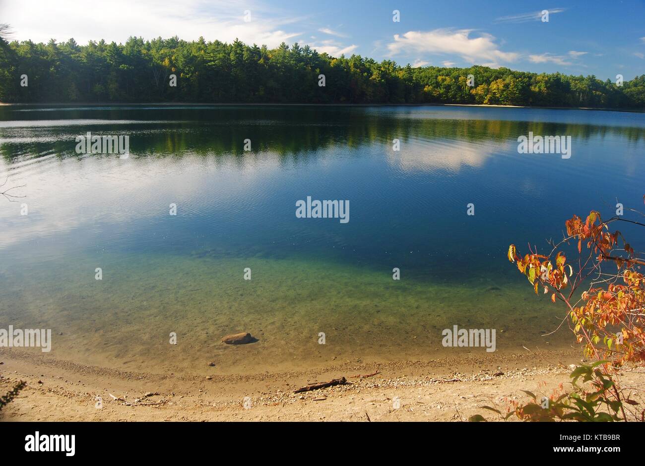 The Walden Pond in Massachusetts, USA Stock Photo - Alamy