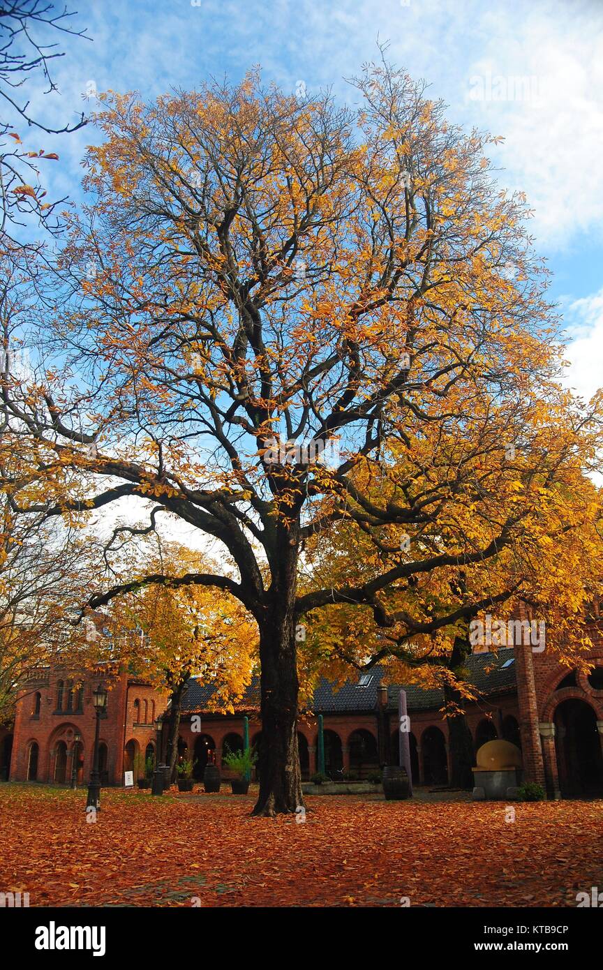 Autumn in Oslo Stock Photo - Alamy