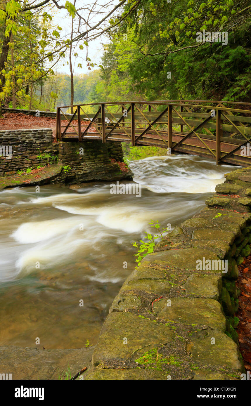 Gorge Trail Footbridge, Wolf Creek, Letchworth State Park, New York ...