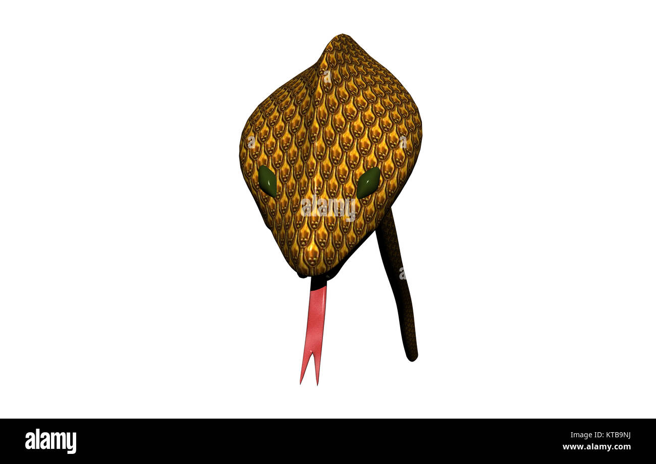Head of the venomous snake unlocked Stock Photo - Alamy