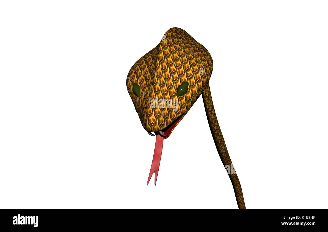 Head of the venomous snake unlocked Stock Photo - Alamy