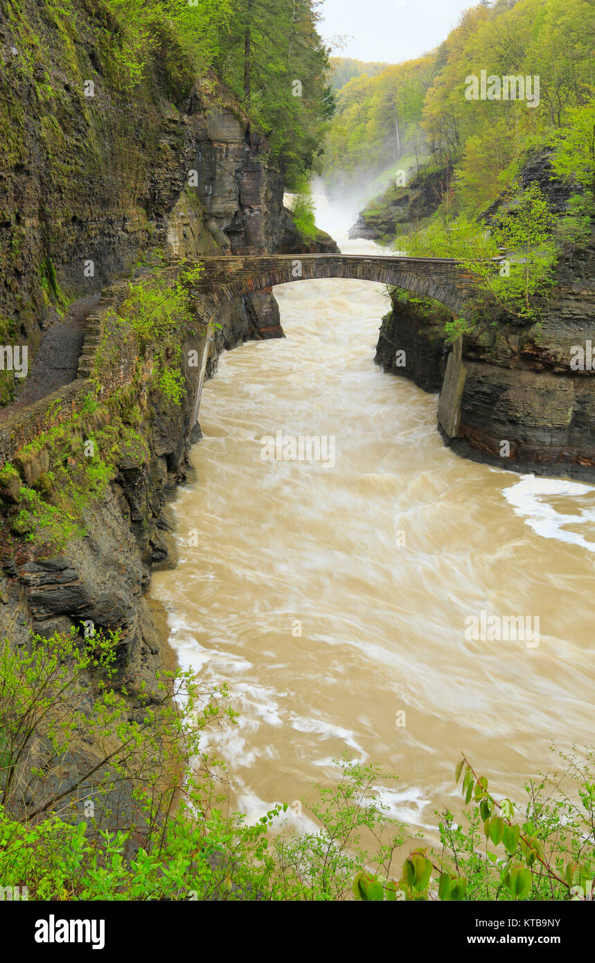 Gorge Trail crossing at Lower Falls, Genesee, River, Letchworth State ...